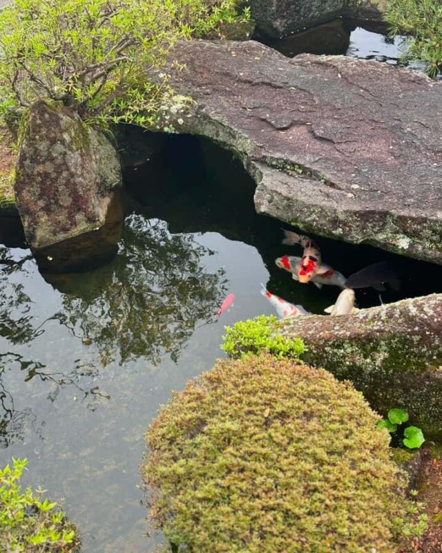 Wakayama: Mt. Koya, Kumano Kodo & Nachi Falls Private Tour - Frequently Asked Questions