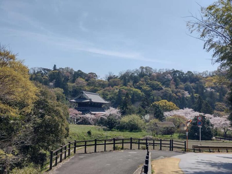Wakayama: Negoro Historical Walking Tour with Temples Visit - Key Points