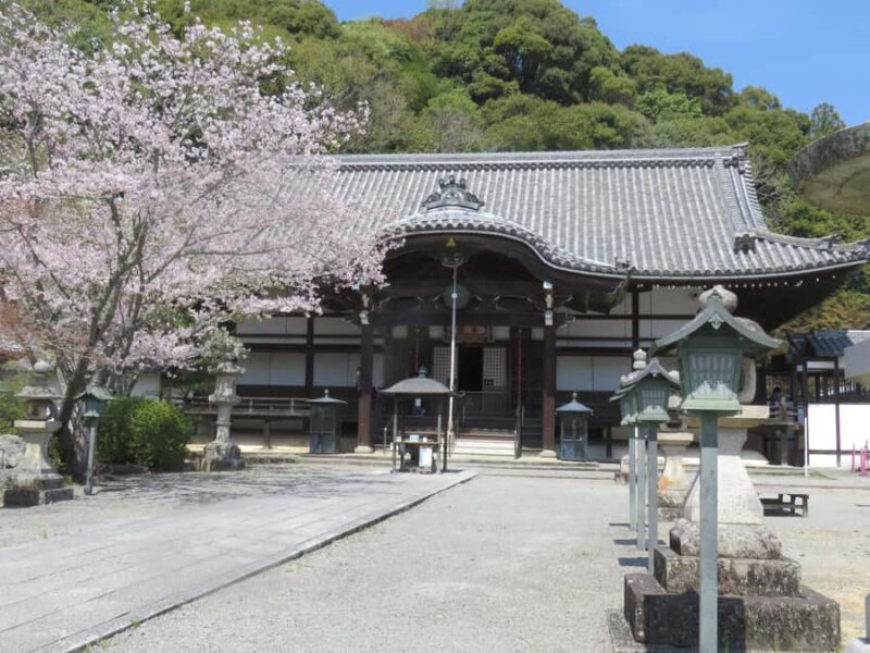 Wakayama: Negoro Historical Walking Tour with Temples Visit - Final Thoughts: Who Will Love This Tour?