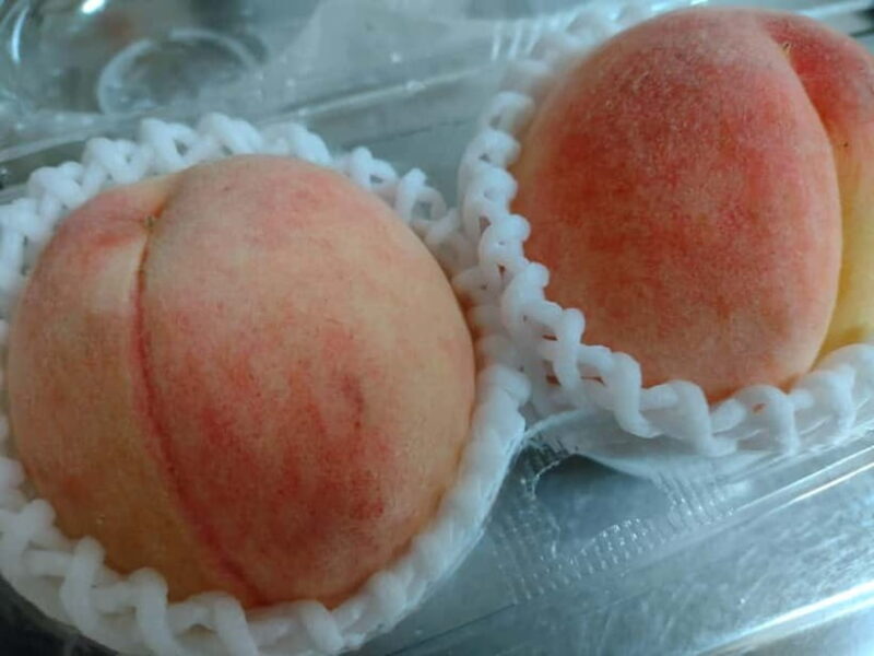 Wakayama: Private Station Food Hall Support with Guide - Exploring Wakayama’s Food Scene: What to Expect