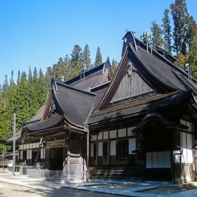 Wakayama: Private Tour to Nachi Falls & Mount Koya - An In-Depth Look at the Wakayama Private Tour