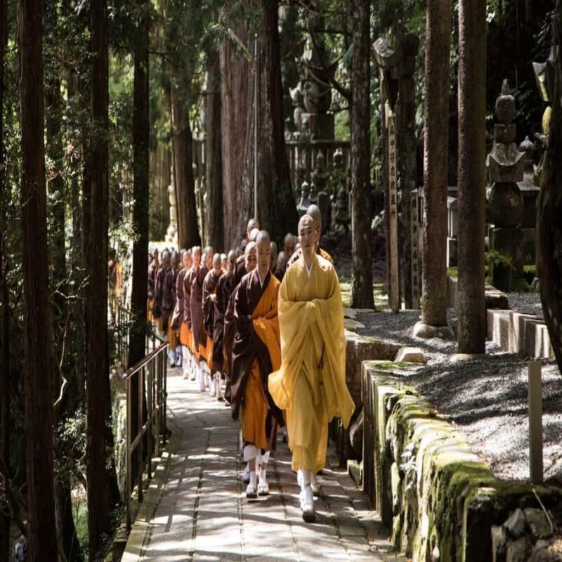 Wakayama: Private Tour to Nachi Falls & Mount Koya - Practical Details and Considerations