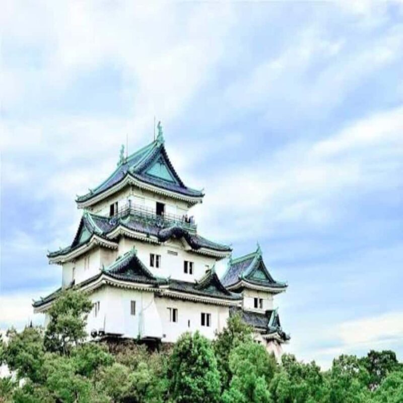 Wakayama: Private Tour to Nachi Falls & Mount Koya - The Sum Up