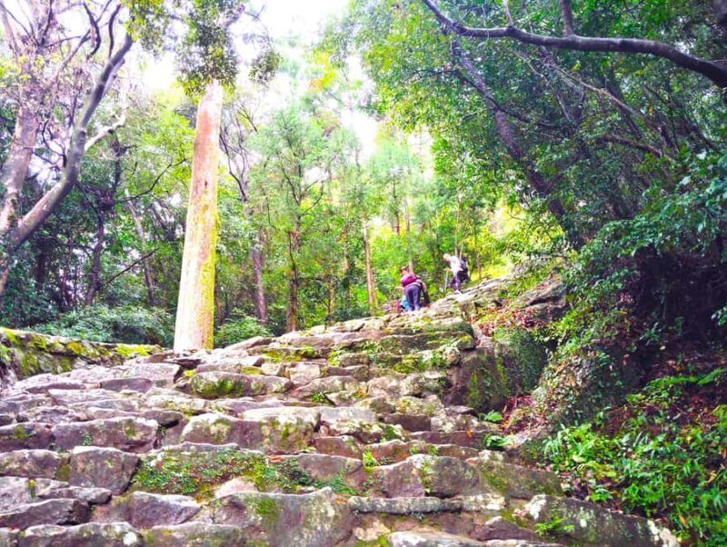 Wakayama: Sacred Journey to Kumano Hayatama and Kamikura - Exploring Wakayama: Sacred Journey to Kumano Hayatama and Kamikura