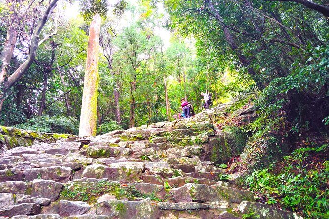 Wakayama: Sacred Journey to Kumano Hayatama and Kamikura - Exploring the Kumano Sacred Sites