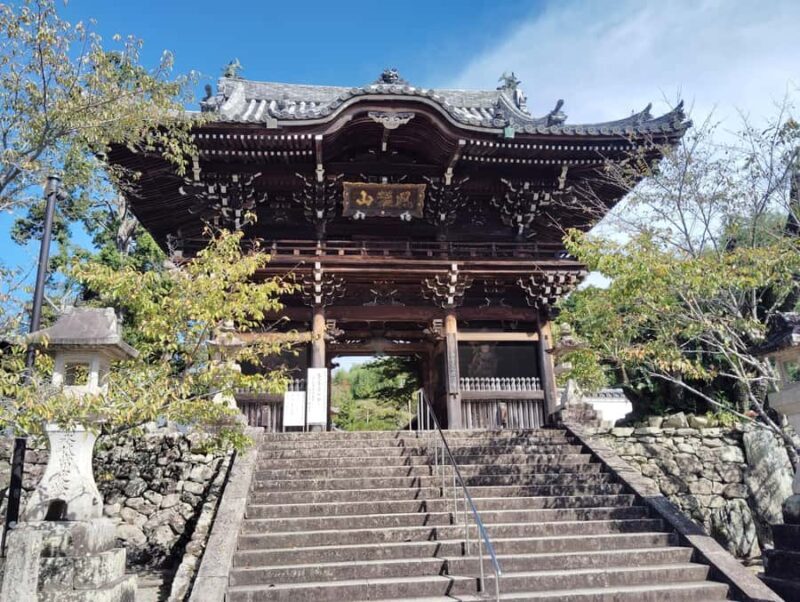 Wakayama: Sacred Serenity of Kokawa-dera Temple Tour - Who Should Consider This Tour?
