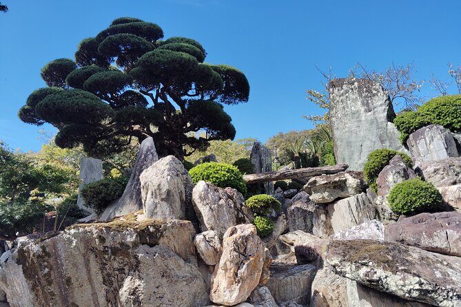 Wakayama: Sacred Serenity of Kokawa-dera Temple Tour - What You Can Expect on This Short Tour