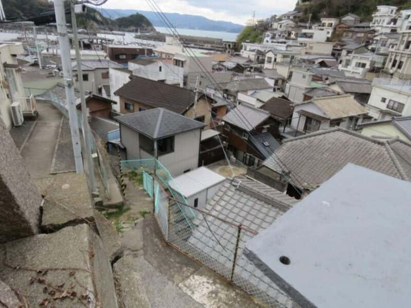 Wakayama: Saikazaki, Fishing Town Walking Tour - Who Will Love This Tour?