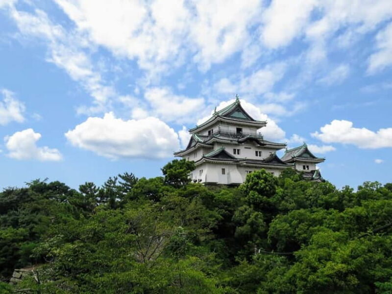 Wakayama: Samurai Experience with Castle Tour - Final Thoughts