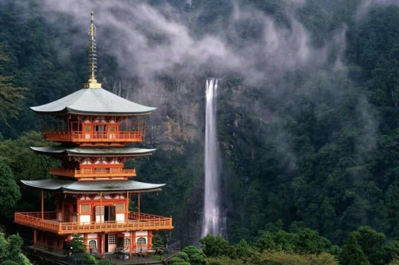 Wakayama: Shirahama & Kumano Kodo 2-Day Small-Group Tour - Transportation, Timing, and Comfort