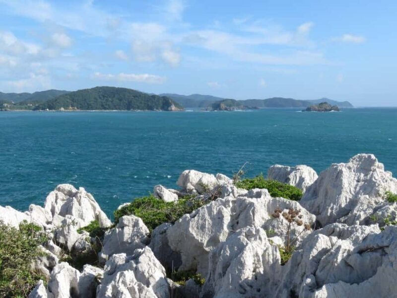 Wakayama: Shirasaki Coast, Yura Town Walking 3 Tours - The Sum Up: Who Should Consider This Tour?