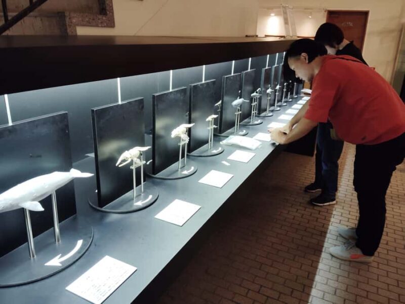 Wakayama: Taiji Whale Museum and Japans Ocean Heritage - Introduction