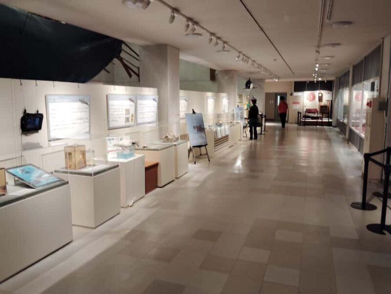 Wakayama: Taiji Whale Museum and Japans Ocean Heritage - The Value of This Tour