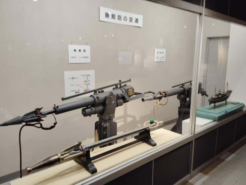 Wakayama: Taiji Whale Museum and Japans Ocean Heritage - FAQ