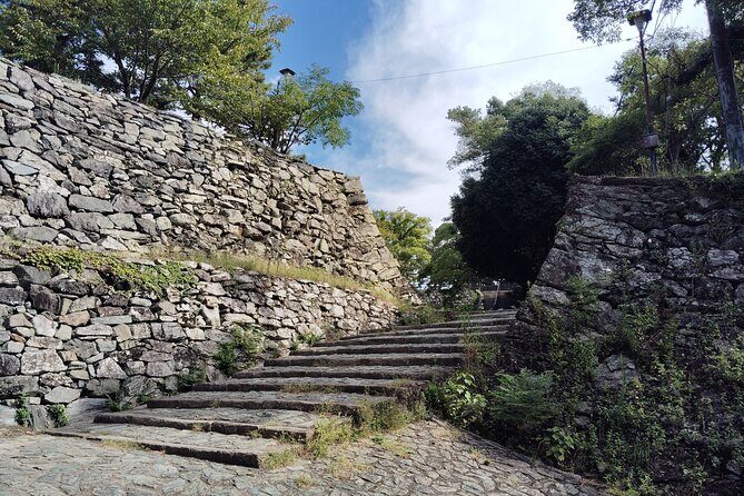 Wakayama: The Tokugawa Castle That Guarded the Southern Coast - Discovering Wakayama Castle: A Balanced Exploration