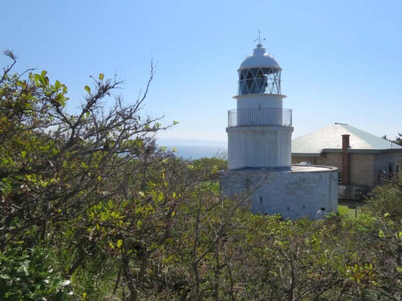 Wakayama: Tomogashima Island Hiking Tour - Key Points