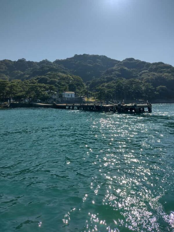 Wakayama: Tomogashima Island Hiking Tour - Who Will Love This Experience?