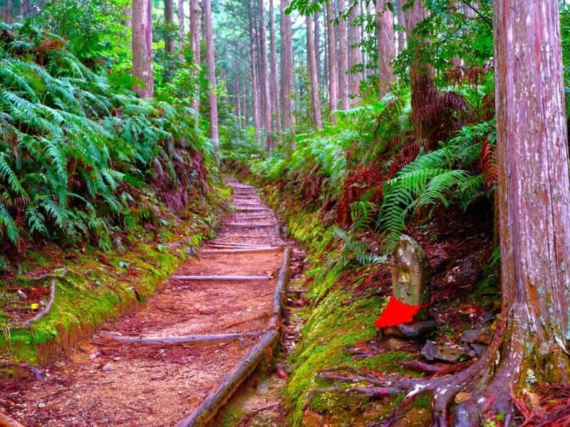 Wakayama: Walk the Kumano Kodo to Kumano Hongu Taisha - Key Points