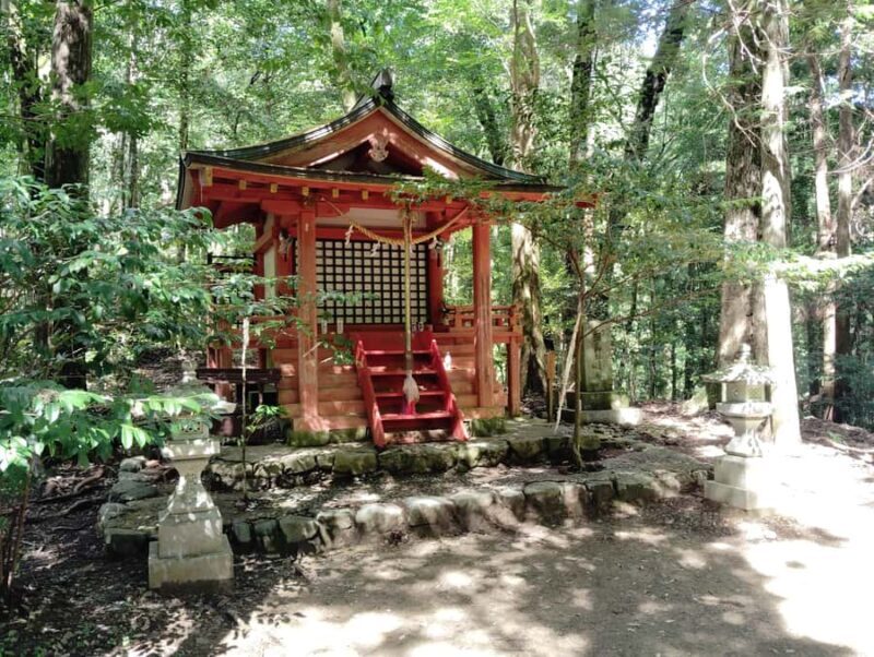 Wakayama: Walk the Kumano Kodo to Kumano Hongu Taisha - What to Expect During the Walk