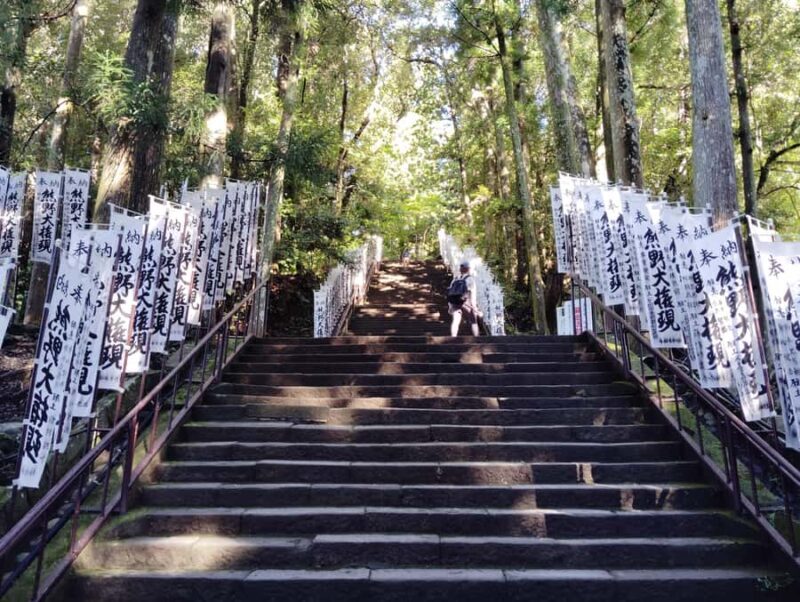 Wakayama: Walk the Kumano Kodo to Kumano Hongu Taisha - Pricing and Value