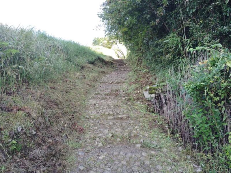 Wakayama: Walk the Kumano Kodo to Kumano Hongu Taisha - Authenticity and Reviewer Insights