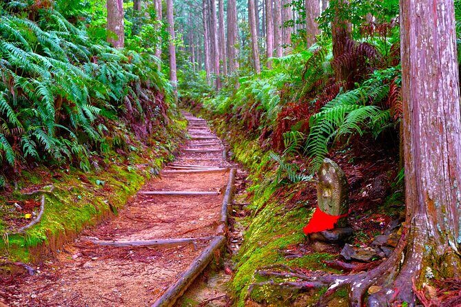 Wakayama: Walk the Kumano Kodo to Kumano Hongu Taisha - Wakayama: Walk the Kumano Kodo to Kumano Hongu Taisha — A Guided Journey into Japan’s Sacred Mountains