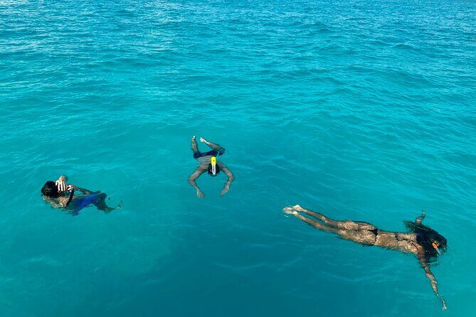 Wake Surfing Lessons & Snorkel Time in Crystal Blue Waters 6hr - The Itinerary Breakdown