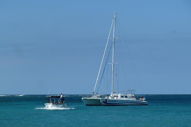 Wake Up With the Whales Cruise from Anaeho'omalu Bay - Authentic Reviews: What Travelers Love