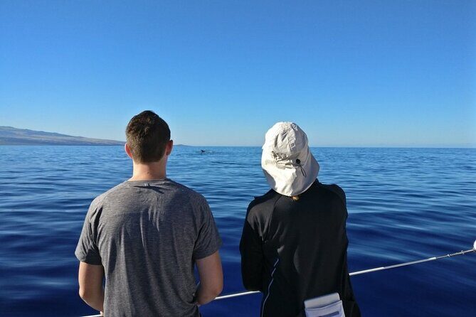 Wake Up With the Whales Cruise from Anaeho'omalu Bay - Final Thoughts