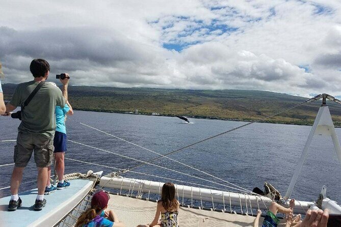 Wake up with the Whales Cruise from Kawaihae Harbor - Practical Tips for Travelers