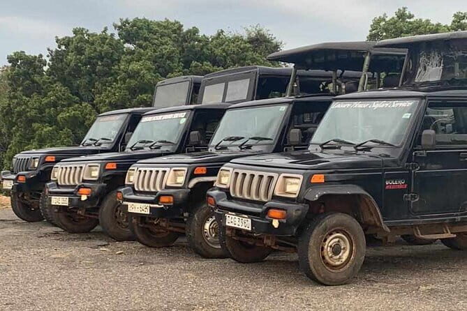 Walawe Palm Safari Udawalawe - Exploring the Itinerary: What to Expect