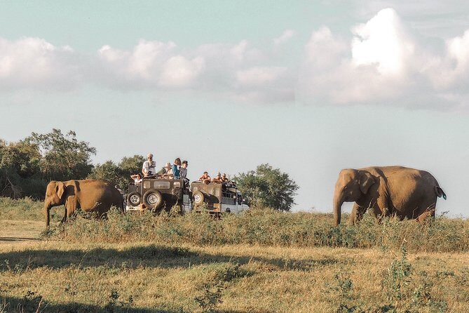 Walk Amidst Culture (8 Days) - The Sum Up