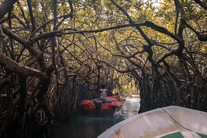 Walk Amidst Culture (8 Days) - FAQ