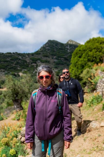 Walk among the olive trees (Small group experience) - Experience Overview