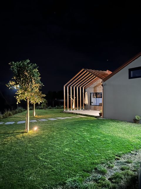 Walk among the rows of vineyards and wine tasting - The vineyard walk and cellar visit