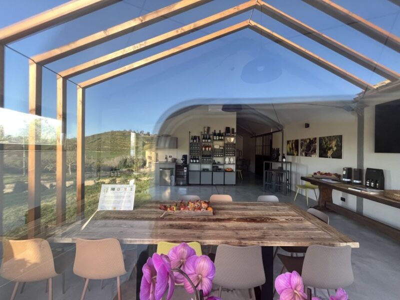 Walk among the rows of vineyards and wine tasting - Why this tour is ideal for certain travelers