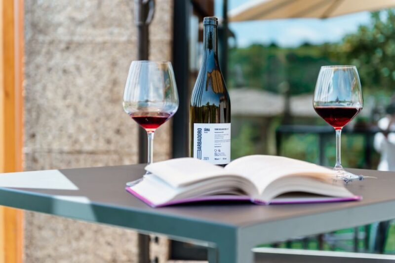 Walk among the rows of vineyards and wine tasting - Final thoughts