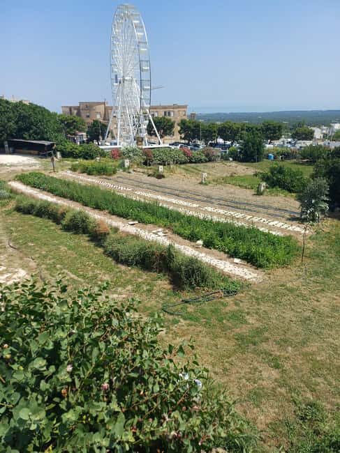 Walk and Aperitif in the Secret Gardens of Ostuni - What’s Included and Practical Tips