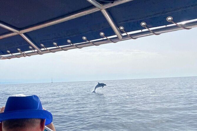 Walk and dolphin watching in Fuengirola + 1 drink - Key Points