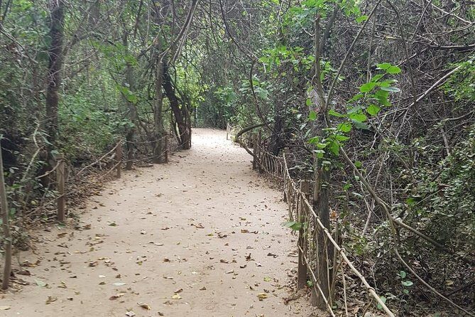Walk And Snorkel In The National Park HT - The Sum Up