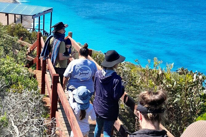 Walk on Country at Taananeditj (Rotary Lookout) - Why This Tour Stands Out