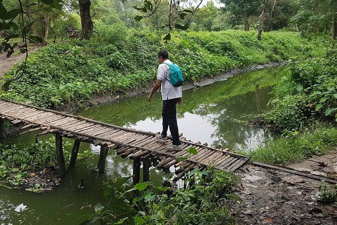 Walk the Kolkata Wetlands: Green Eye Candy - Key Points