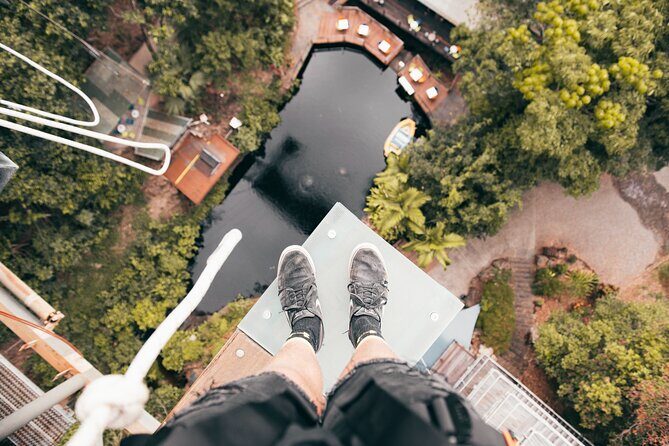 Walk the Plank Skypark Cairns by AJ Hackett - Authentic Participant Perspectives