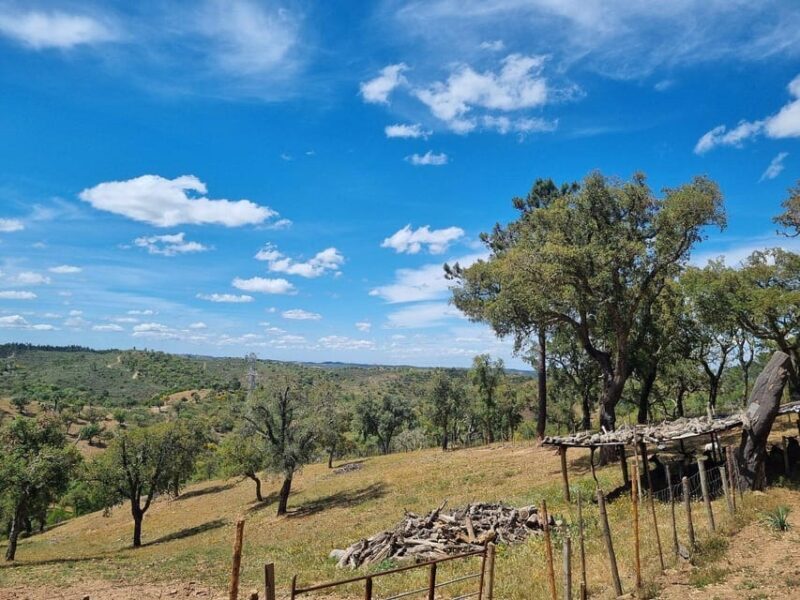 Walk through Hills With a Local Goat Herder and Their Goats - Who This Tour Is Perfect For