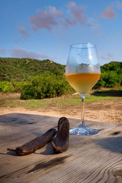 Walk through our vineyard and aperitif - Key Points