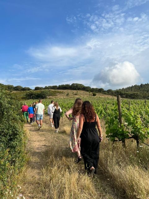 Walk through our vineyard and aperitif - Why This Tour Works