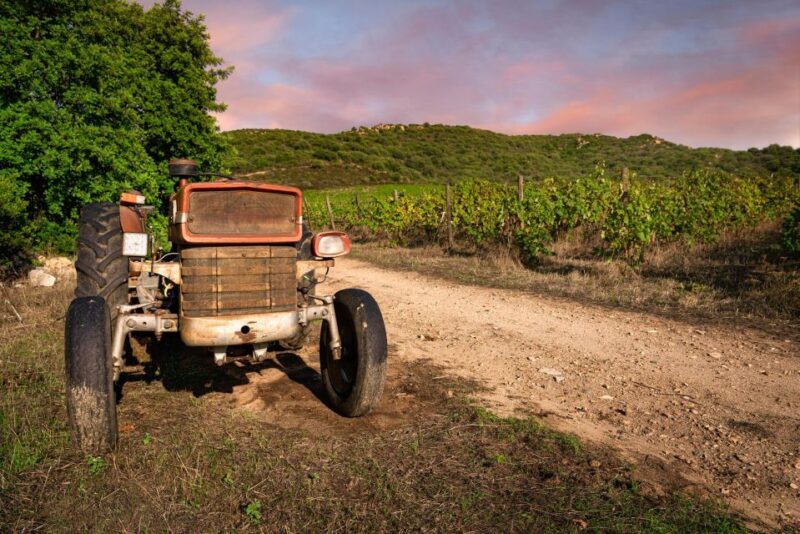 Walk through our vineyard and aperitif - Practical Tips for Visitors