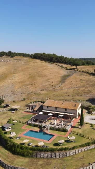 Walk through the vineyard with tasting - Discovering Tuscany’s Land and Flavors by Foot and Glass