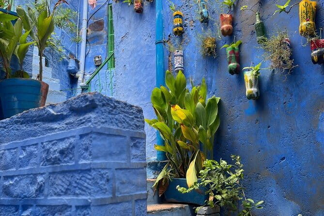 Walk To bluecity tour with guide - Practical Details & What to Expect