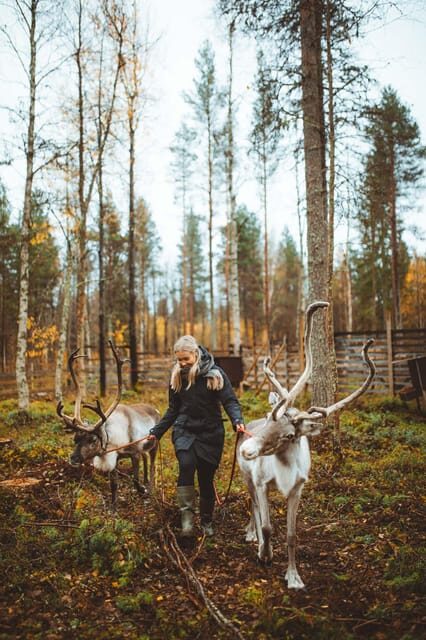 Walk with Reindeer - Who Will Love This Tour?